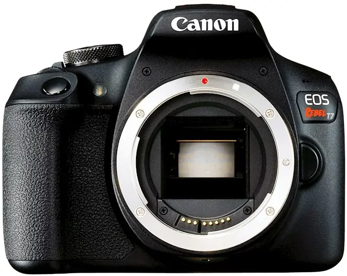 Canon EOS Rebel T7 vs Leica D-LUX 5 Detailed Comparison